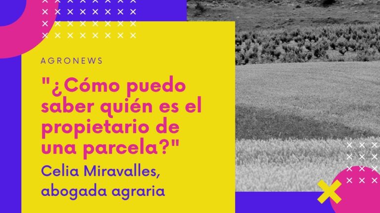 Cómo saber de quién es una parcela - firmalegal.es - Blog Informativo